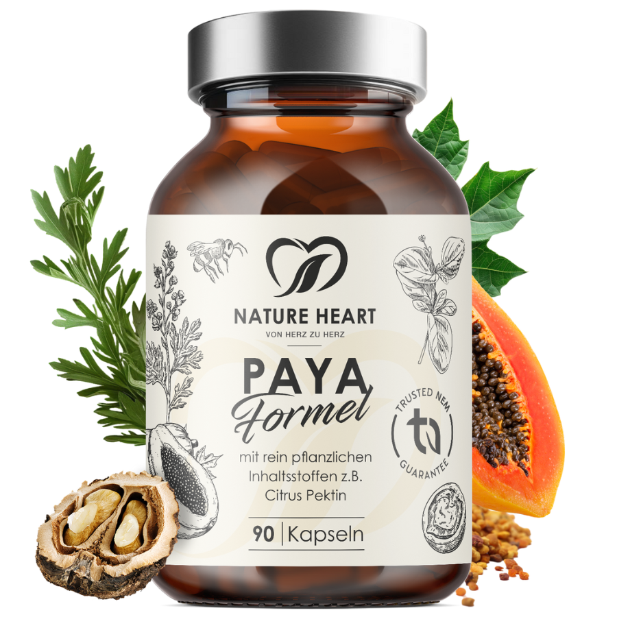 MSM | Reines MSM Pulver ohne Zusätze – Nature Heart